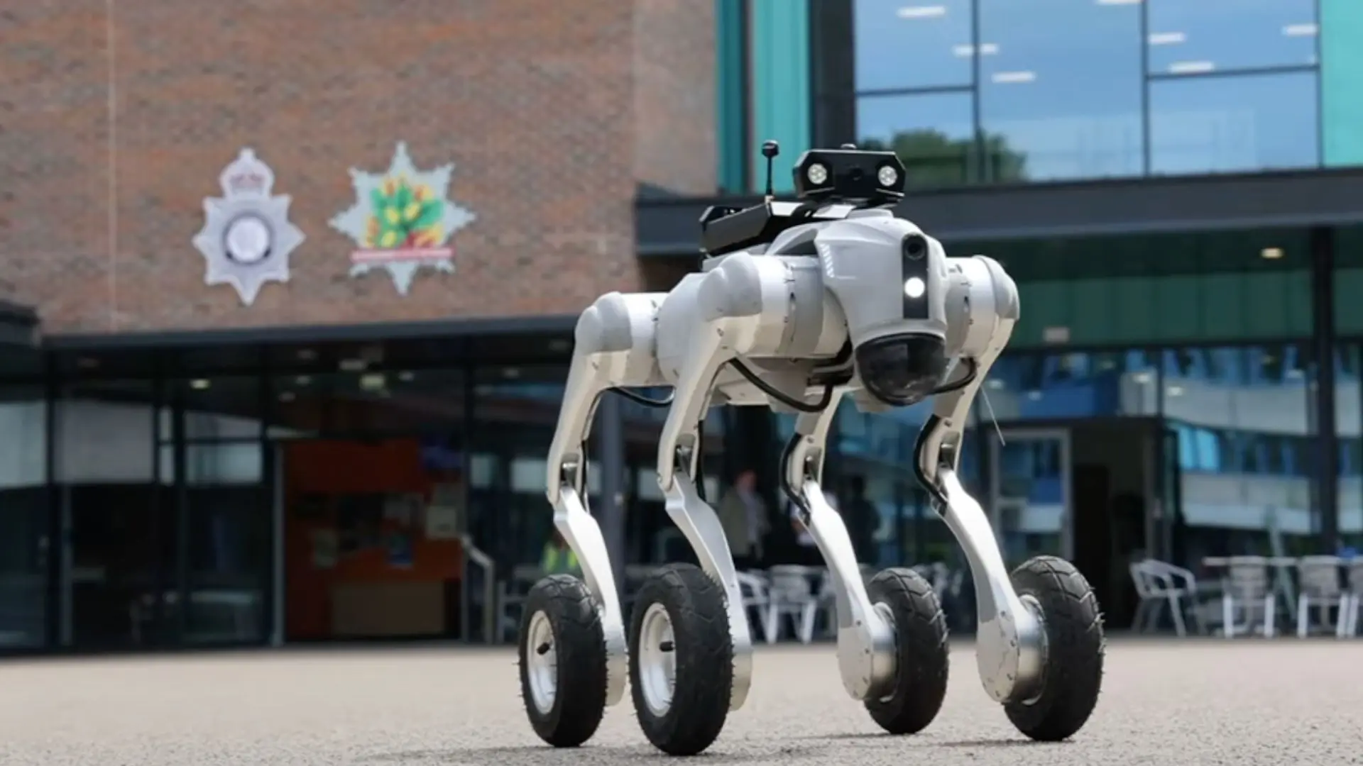 On duty: UK police test robot dog to patrol, detect, and protect